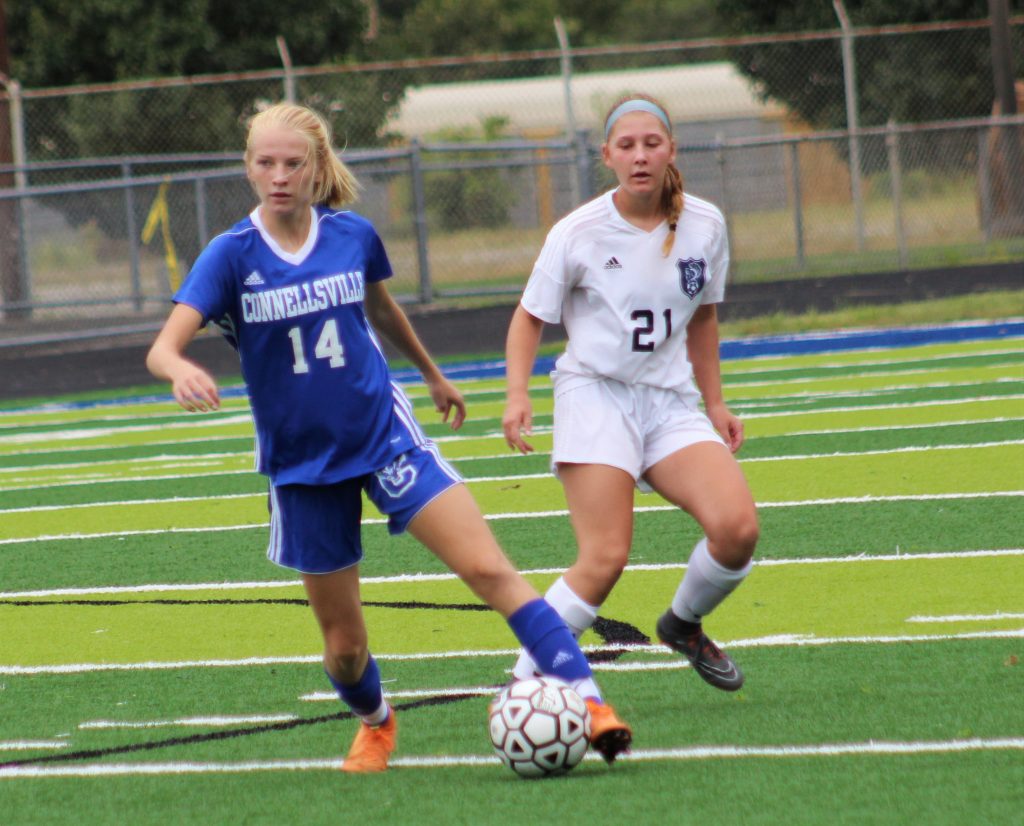 Lady Falcons fall to visiting Norwin, 8-2 - Herald-Standard